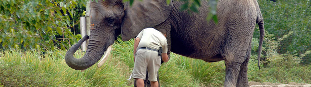 Zoologiste : explorateur du monde animal